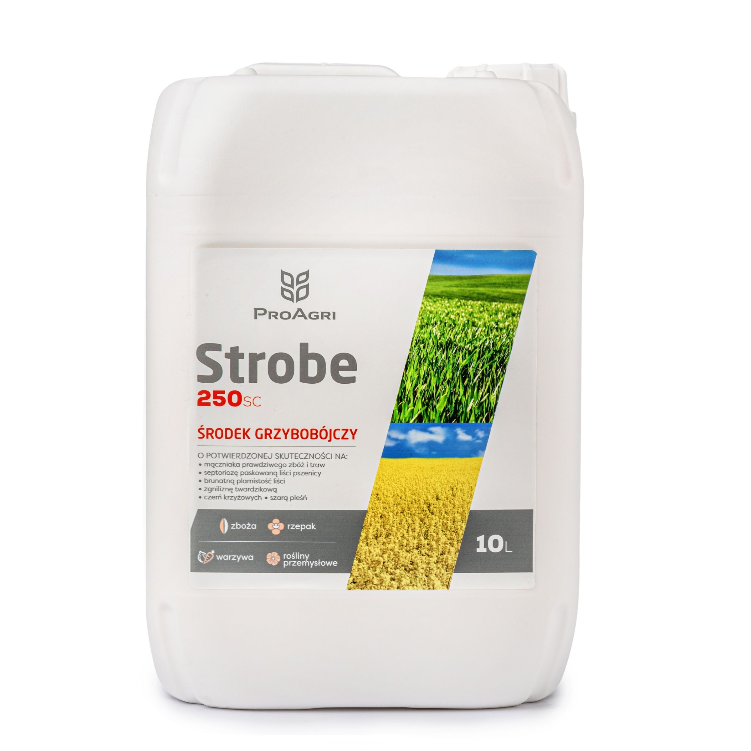 Strobe 250 SC 10 l - azoksystrobina | Osadkowski.pl